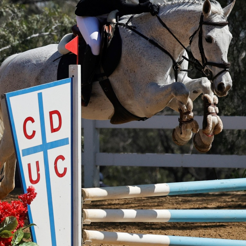 Passline - CONCURSO OFICIAL DE SALTO GRAN PREMIO 3★ CDUC