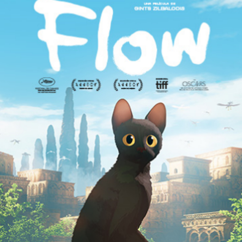 Passline - Flow / Centro Arte Alameda