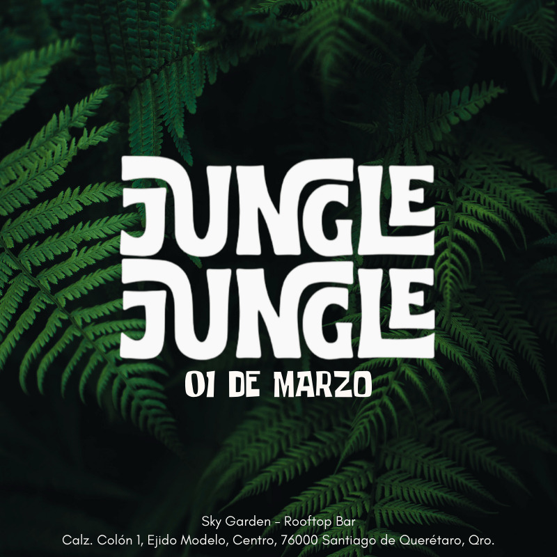 JUNGLE JUNGLE by Rabbit & Friends