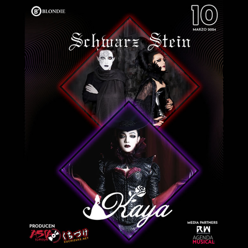 Kaya & Schwarz Stein en Chile - Passline