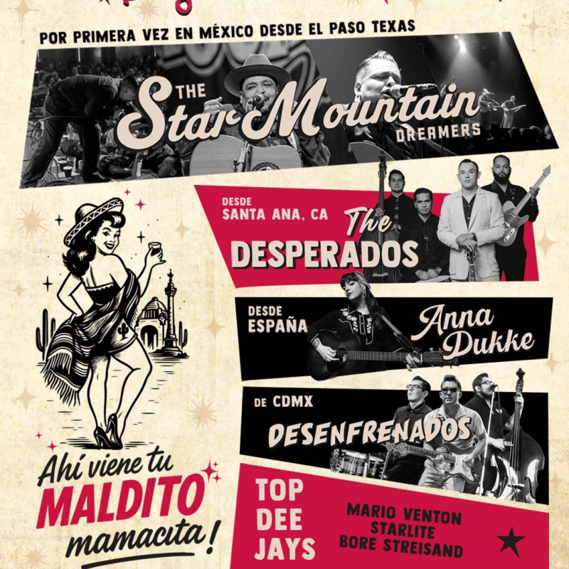 Passline - ROKIN BOOGIE PARTY - VOL 2 / THE STAR MOUNTAIN DREAMERS / THE DESESPERADOS / ANNA ...