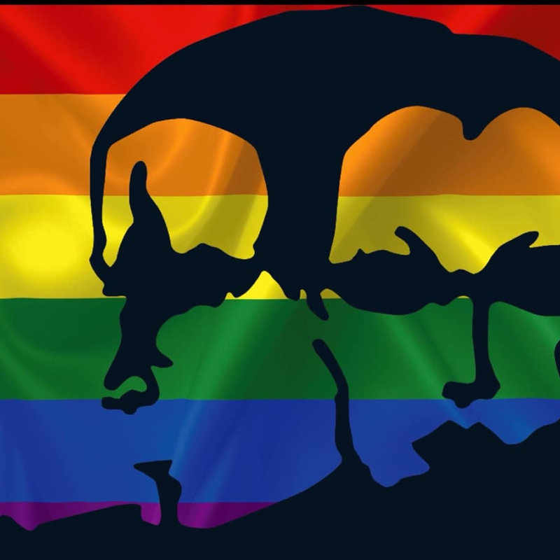 Passline - VIERNES 06,.